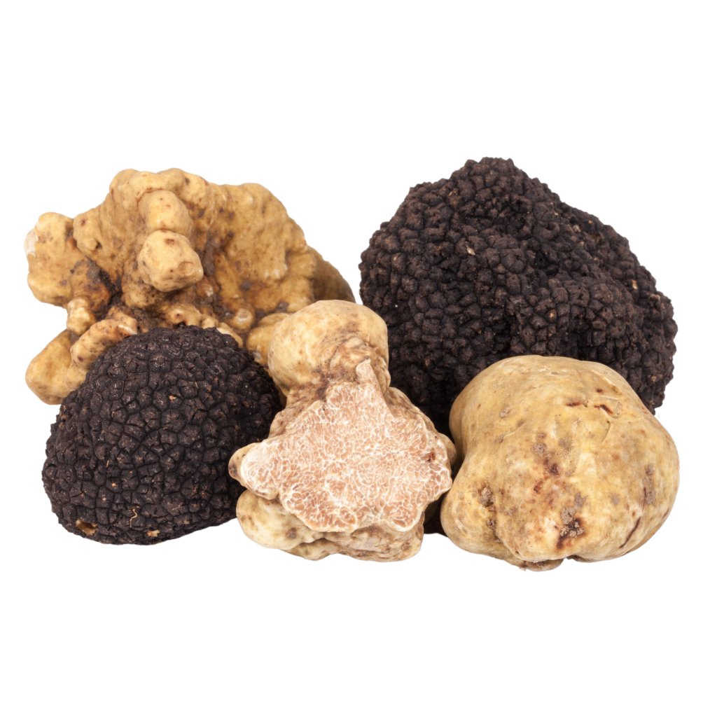 Caviar Centre - Pioneering Caviar in Canada Since 1992