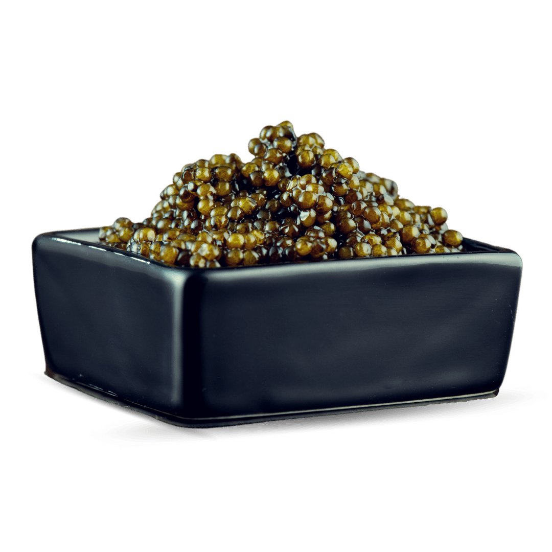 Buy Premium Caviar Online | Pioneering Caviar in Canada