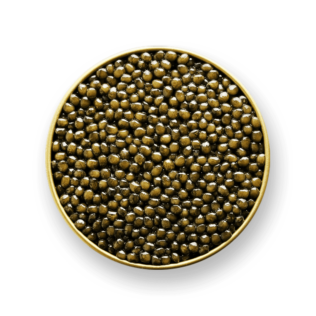 Buy Premium Caviar Online | Pioneering Caviar in Canada